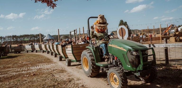 Home - Pinehaven Farm