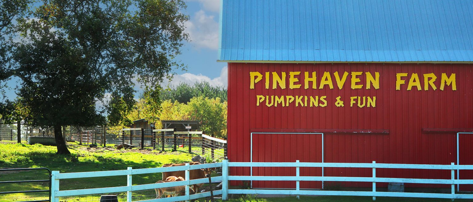 Meet the Farmers - Pinehaven Farm