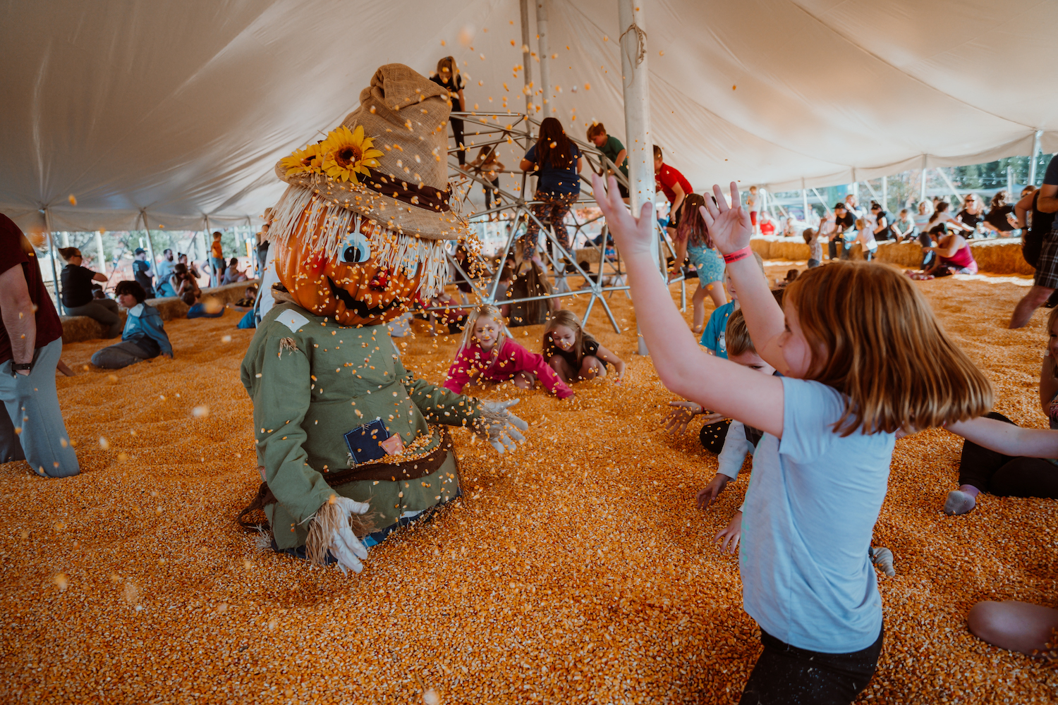 Charley's Corn Pit - Pinehaven Farm