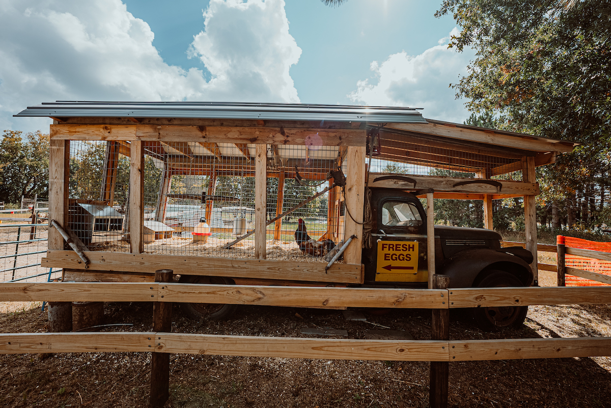 Cluck Truck - Pinehaven Farm
