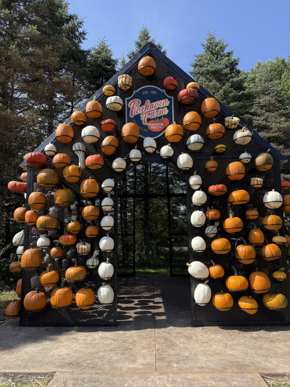 Attractions & Farm Map - Pinehaven Farm
